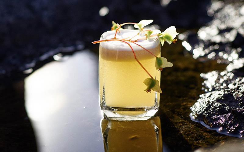 100 Cocktails 100 Maneiras - 100Maneiras